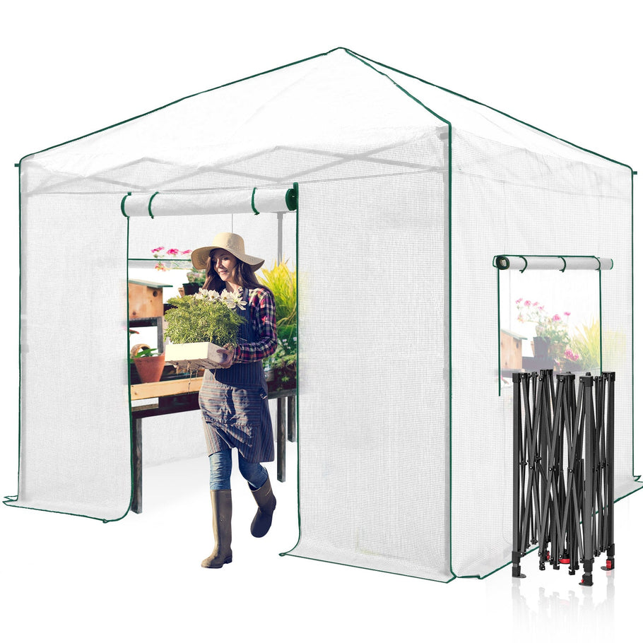 10x10 Walk In Pop Up Greenhouse – Eagle Peak Custom Canopy Tent