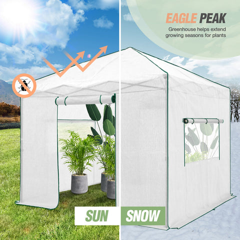 10x10 Walk In Pop Up Greenhouse – Eagle Peak Custom Canopy Tent