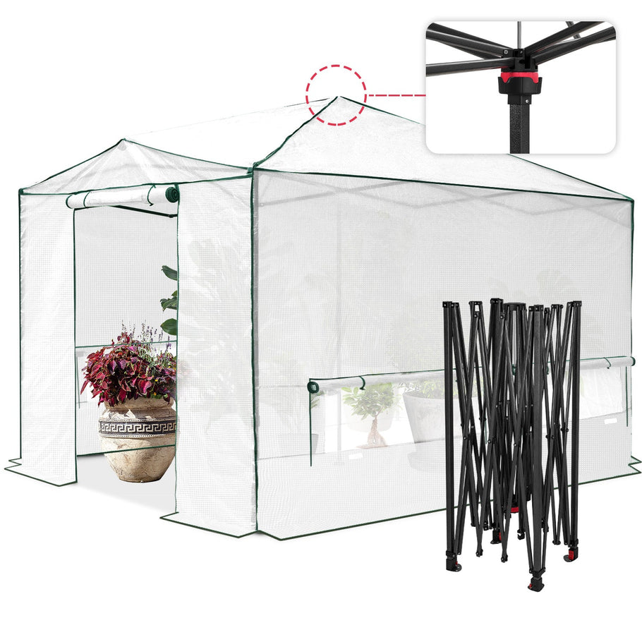 12x8 Portable Large Walk-in Pop Up Greenhouse – Eagle Peak Custom ...